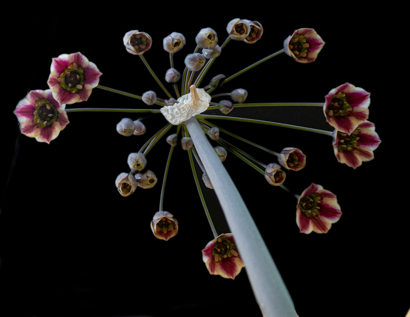 Riksfotoutställningen 2021 – Startsida